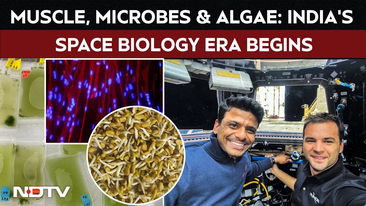 Muscle, Microbes & Algae: India’s Space Biology Era Begins, Shubhanshu ...