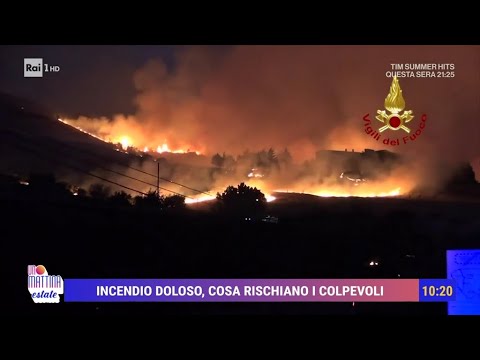 Incendio doloso: cosa rischiano i colpevoli? - Unomattina estate 26/07 ...