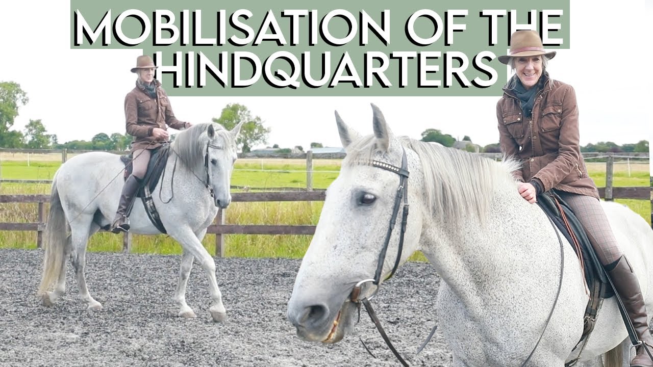 How to engage the hindquarters // the perks of mobilising the ...