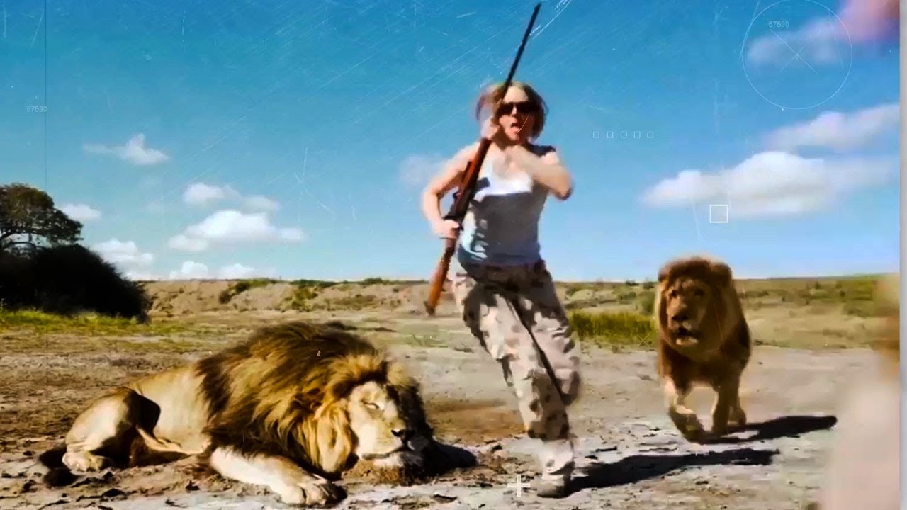 Animals Gone Wild Moments: Funny & Scary Animal Go On A Rampage - YouTube