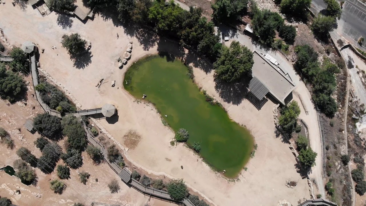 צילום רחפן עין לבן! DJI drone in israel. Ein lavan - YouTube