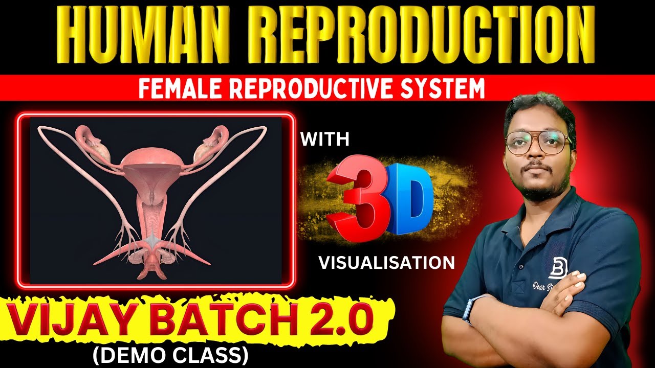 Female reproductive system | HUMAN REPRODUCTION | VIJAY BATCH 2.0 ...