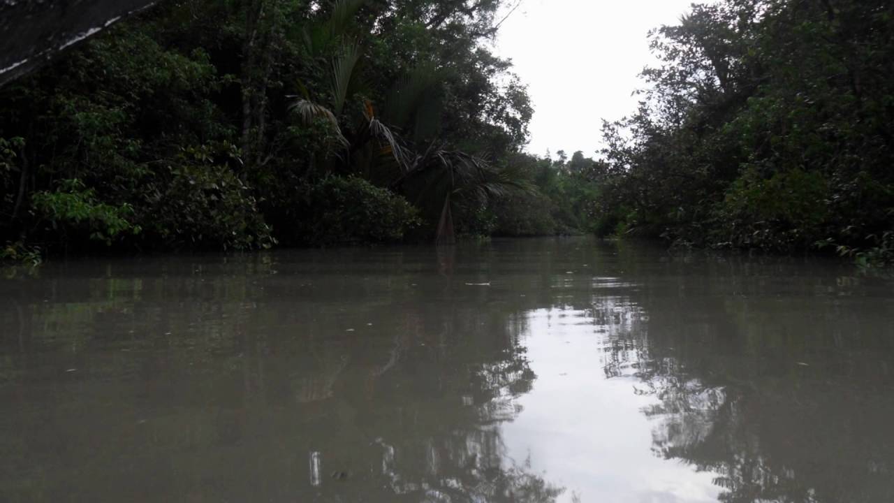 Badaban photo 8 - YouTube