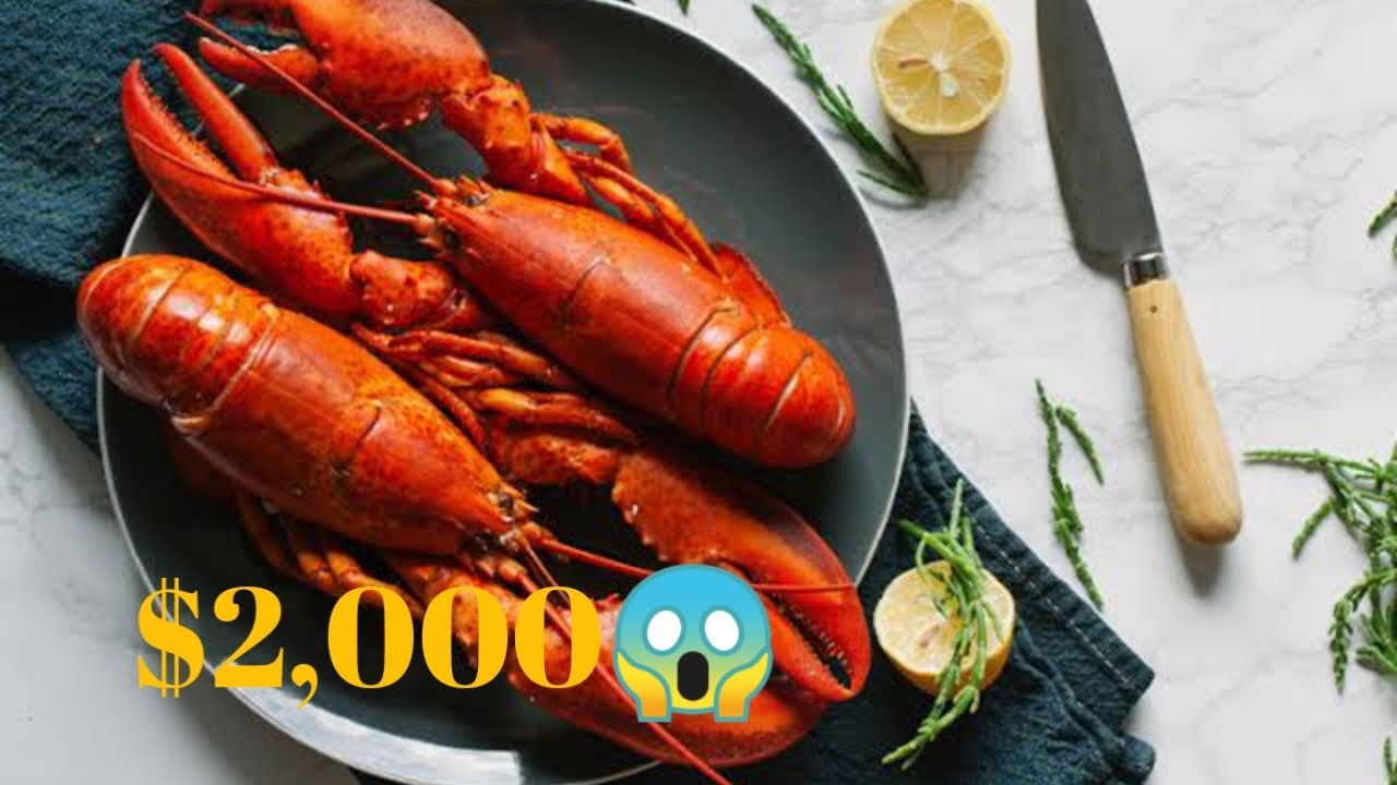 Top 5 Most Expensive Sea Foods Ja TV - YouTube
