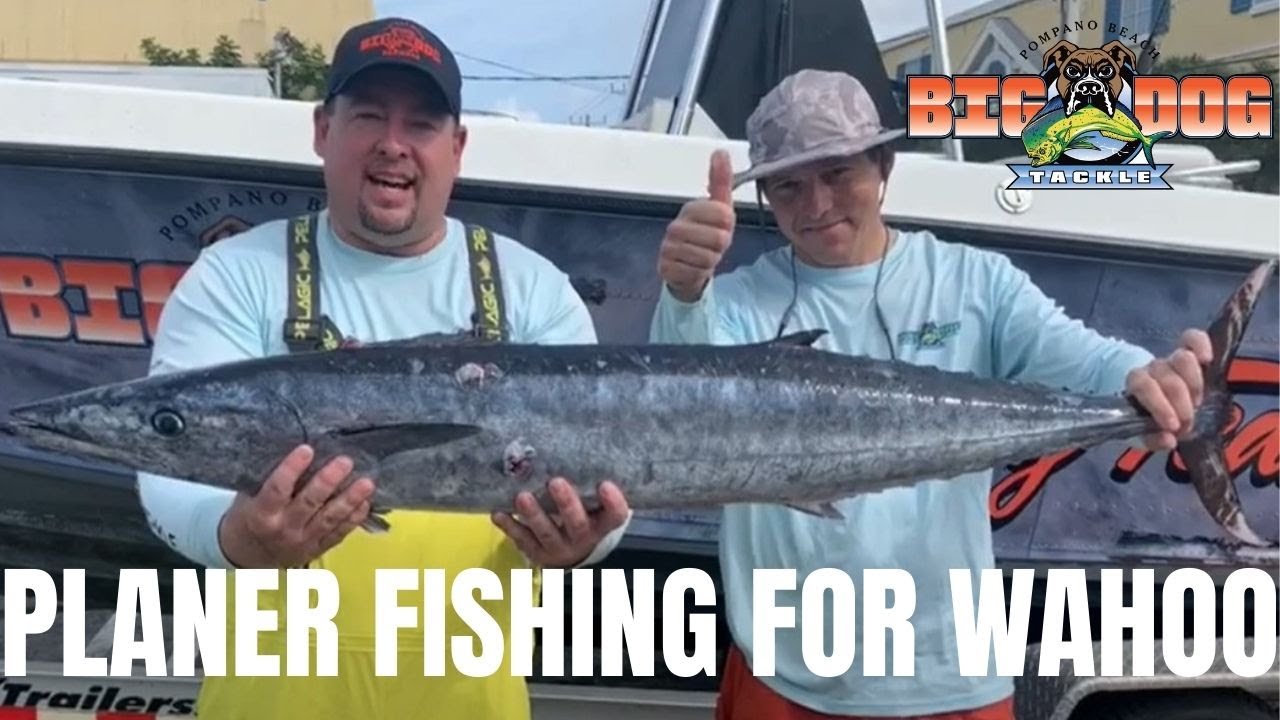 Detachable Planer Fishing For Wahoo in South Florida | Big Dog Tackle ...