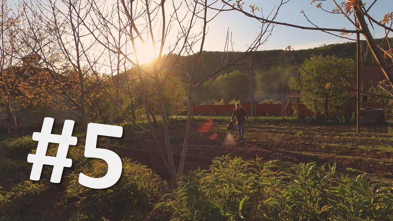 #5 Countryside Demo, DIY & Planting Spree: Reclaimed Wood Projects ...
