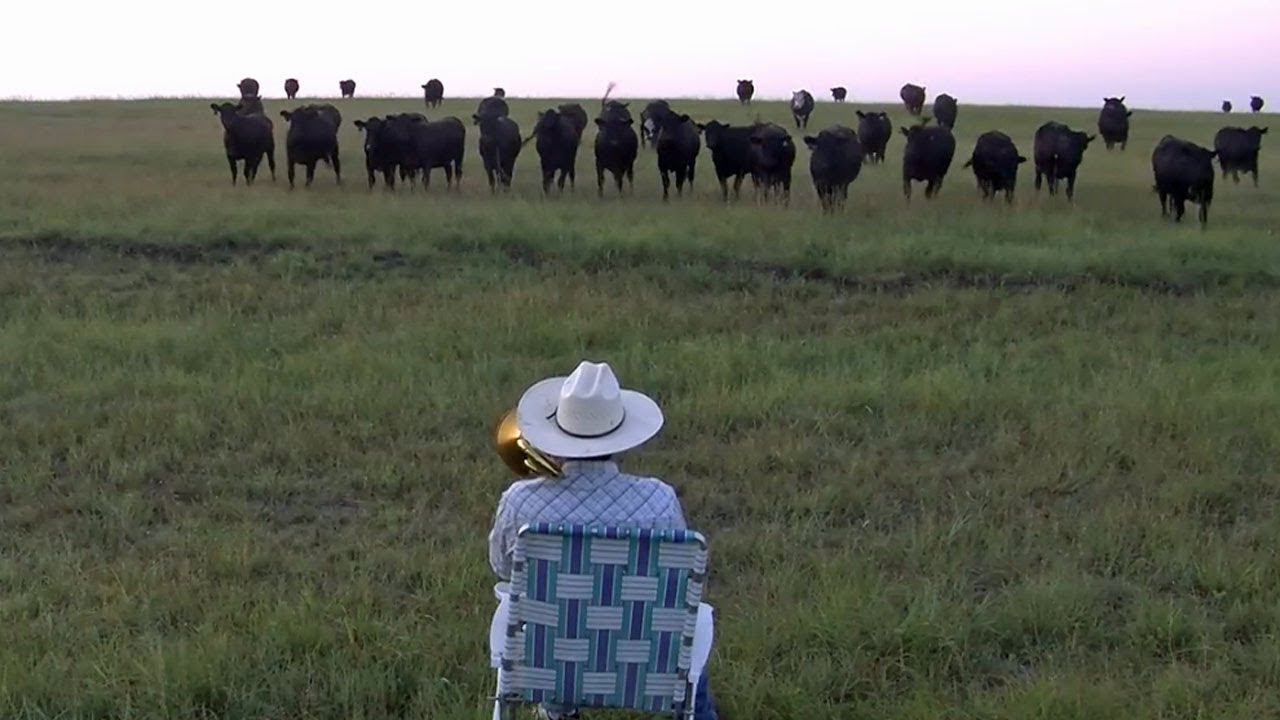 YouTube-Star Farmer Derek im agrarheute-Interview - YouTube