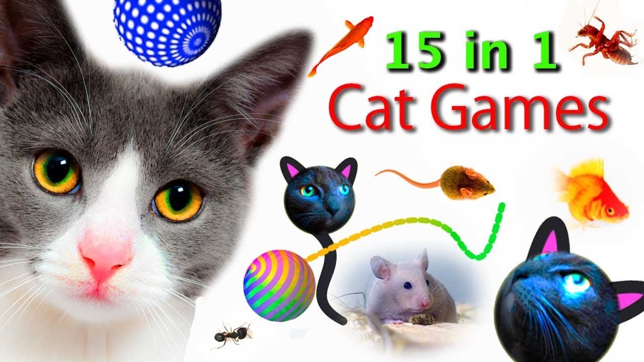 15 CAT GAMES IN 1 VIDEO : Fish, laser, rope, mouse etc. Videos for Cats ...