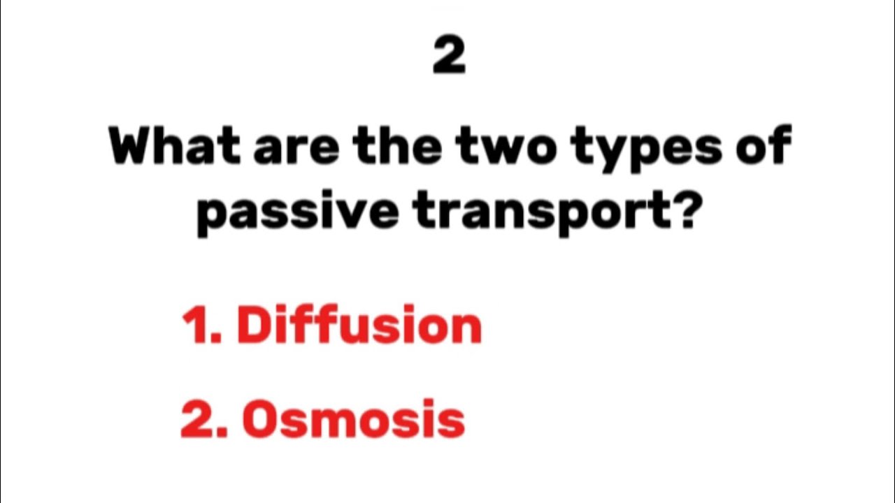These 15 Questions and Answers will Teach you about Diffusion and ...