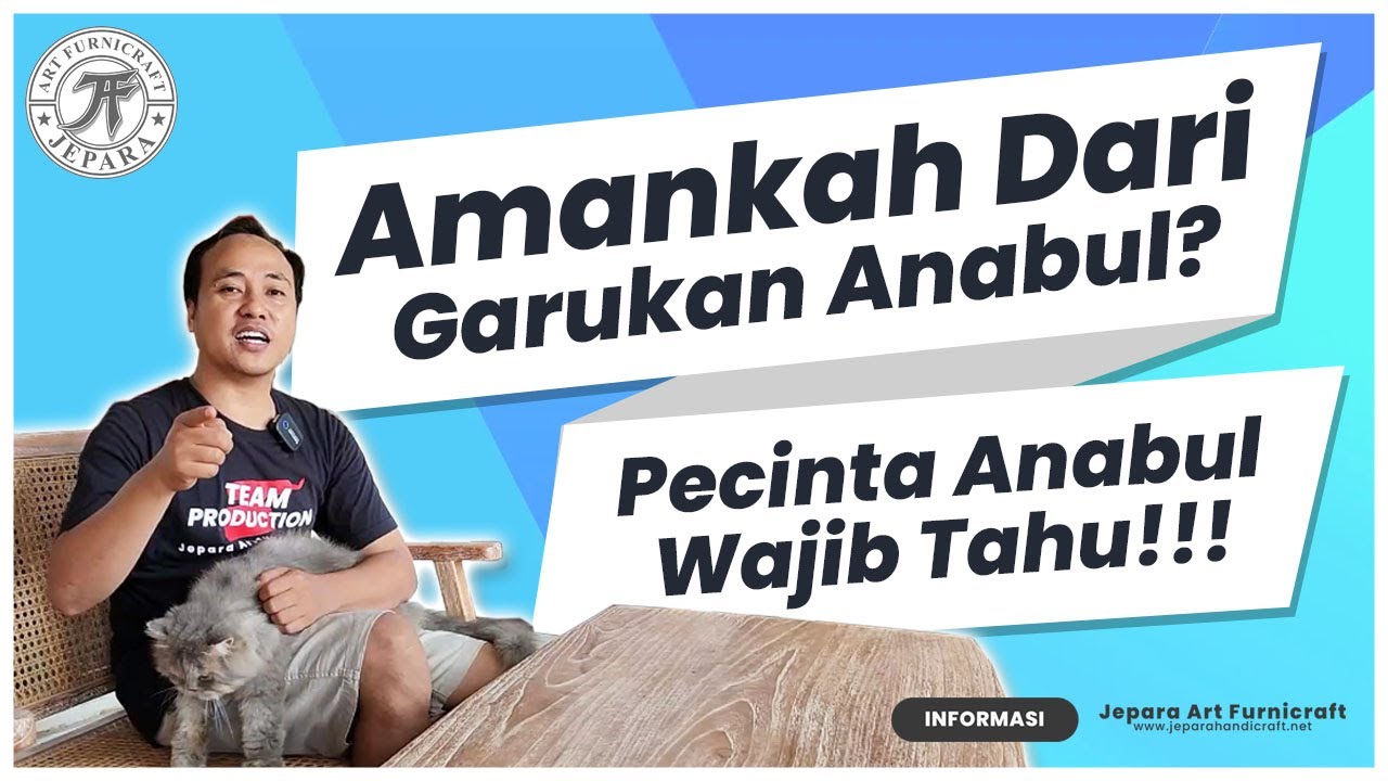 APAKAH AMAN FURNITURENYA? Dari Garukan Anabul? - YouTube