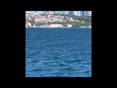 İstanbul Durum Videosu