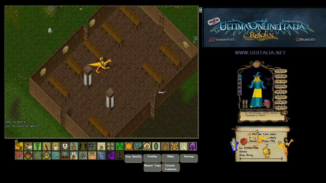 Ultima Online Italia - PVP Gameplay - YouTube