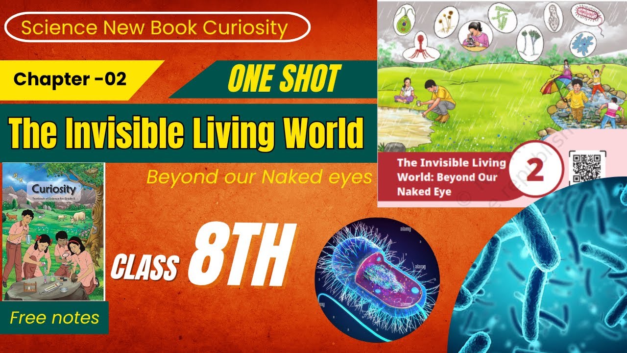 Science Class 8th || Curiosity class 8 chapter 2 || Invisible living ...