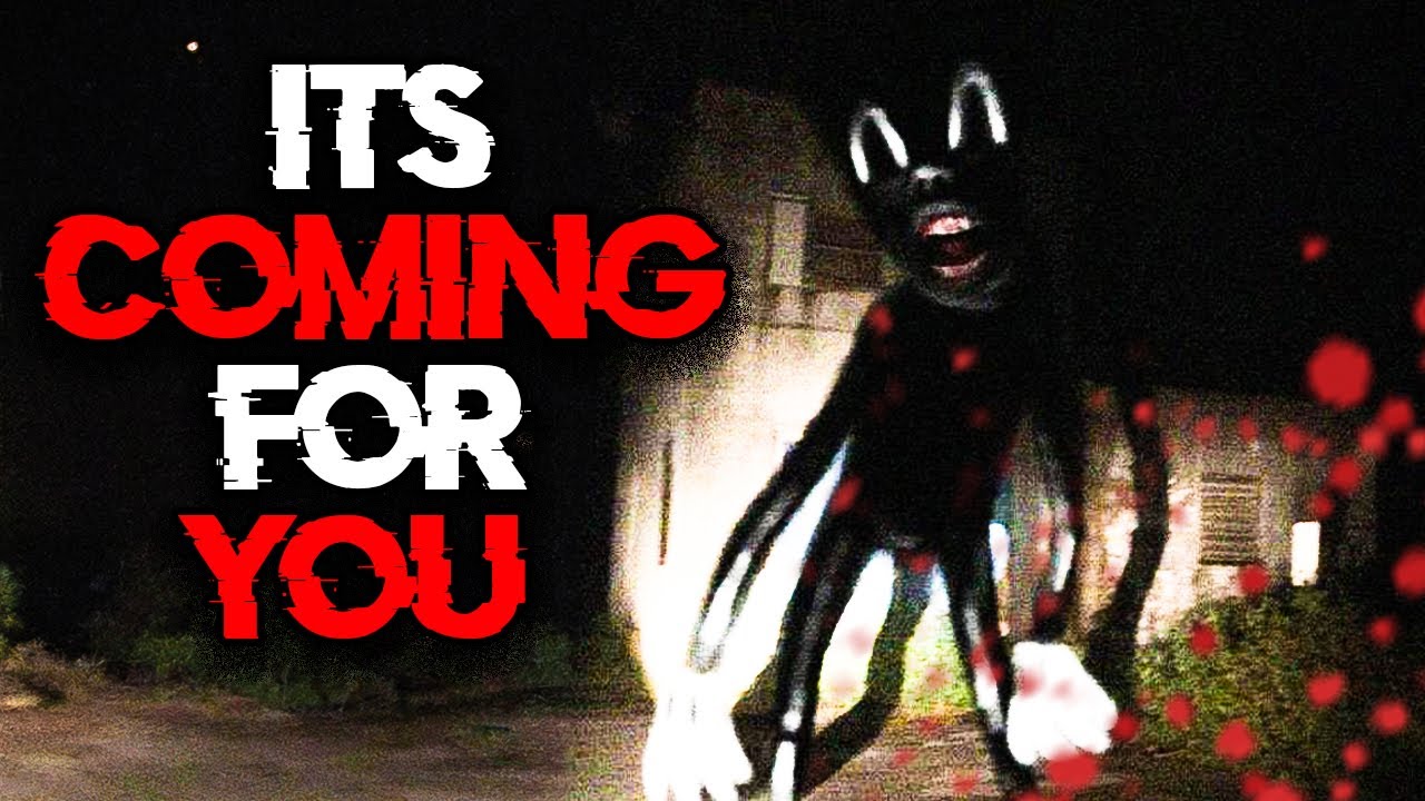 Theres Something Unnerving About This Cat - YouTube