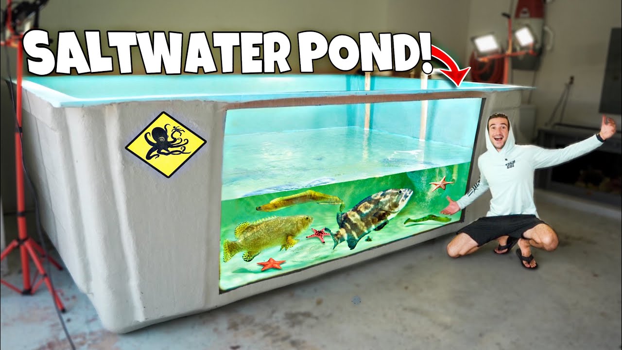 Adding All My EXOTIC FISH Into DREAM SALTWATER POND! (Part 2) - YouTube