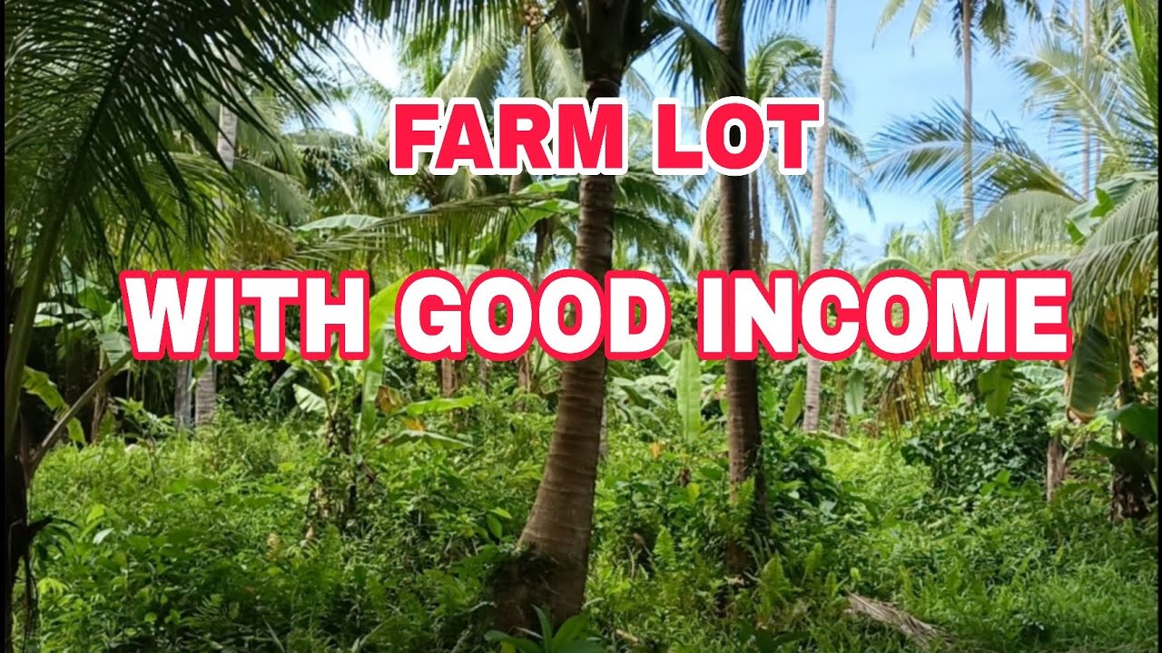 #727 #FARM LOT WITH INCOME - YouTube