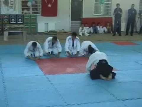 aikido sheki.mp4