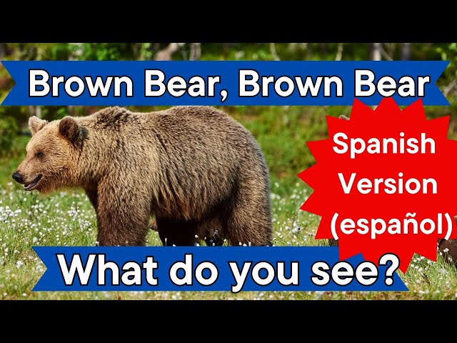 Oso Pardo Eric Carle Oso Pardo Para Colorear