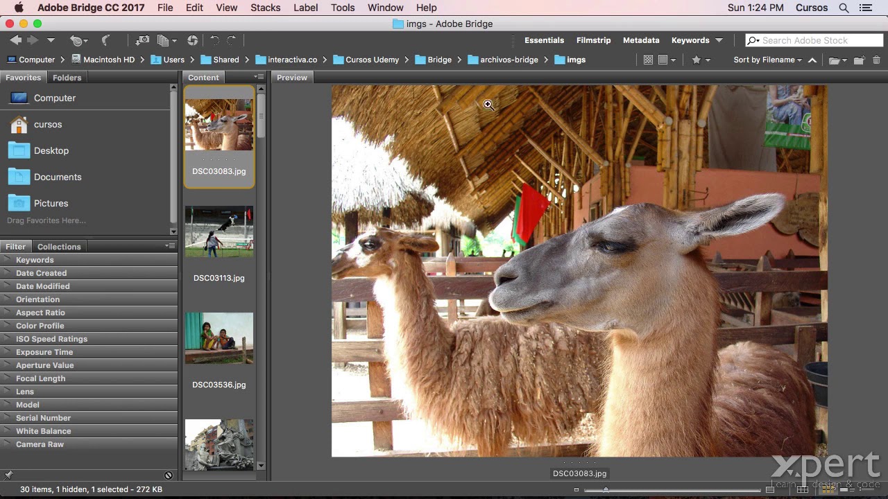 02-03 Entender los espacios de trabajo o Workspaces en Adobe Bridge ...