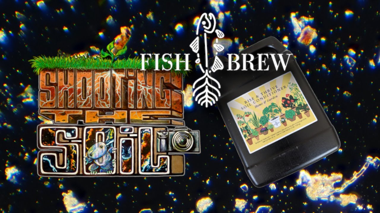 Fish Brew under the Microscope! Beneficial Aquatic Microorganisms ...