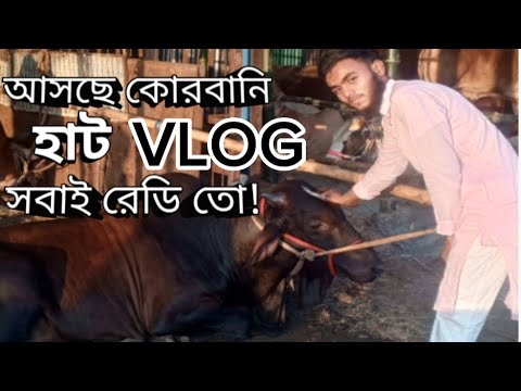 ঈদ কোরবানি হাট স্পেশাল ব্লগ টেইলার ২০২৩ (Srabon vlog bd) eid special vlog - YouTube