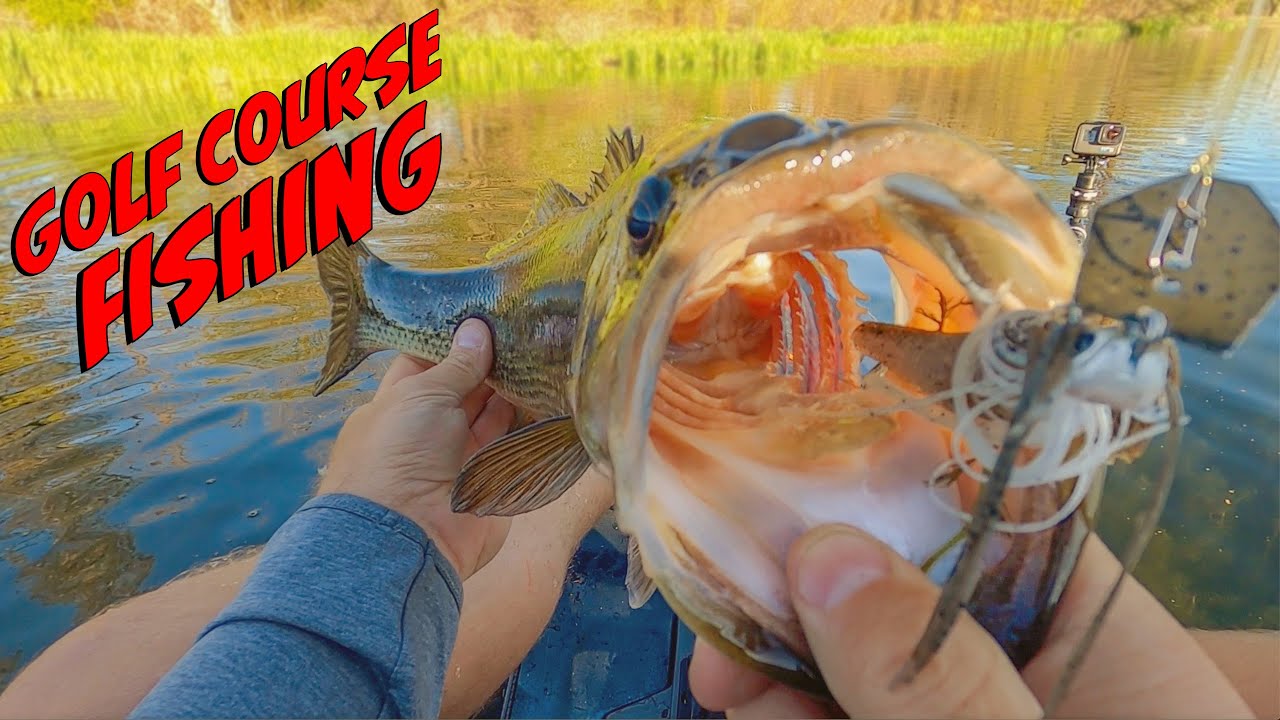 Epic Golf Course Pond Fishing! Big Bass From The Kayak! - YouTube