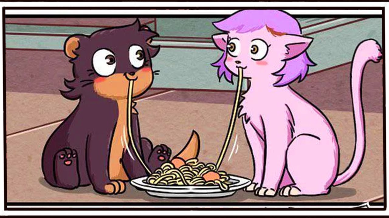 Otter & Cat - YouTube