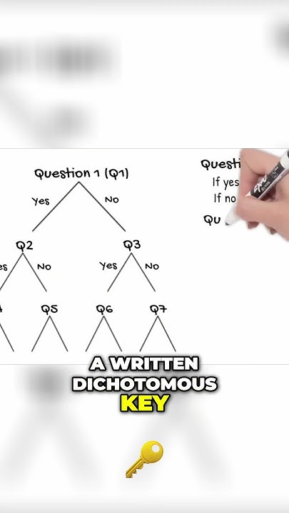 How to Create a Dichotomous Key: Step by Step Guide for Identifying ...