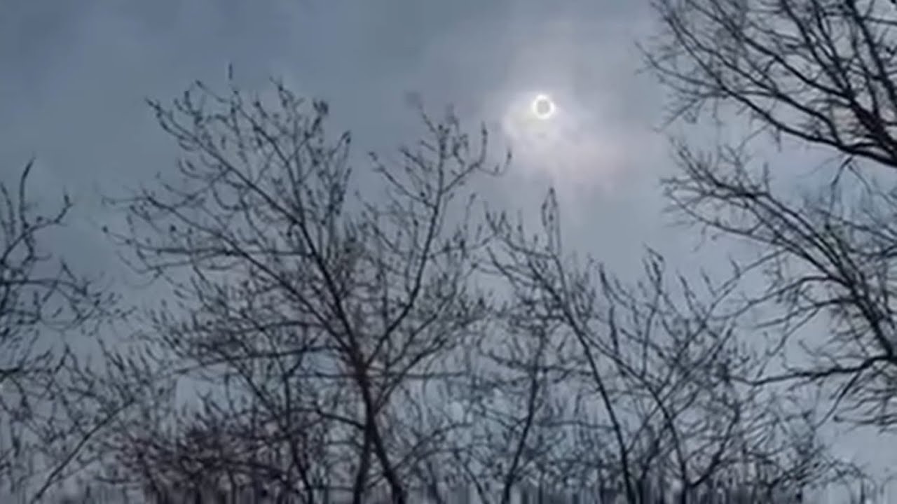 Live: Eclipse - Coronation Park - YouTube