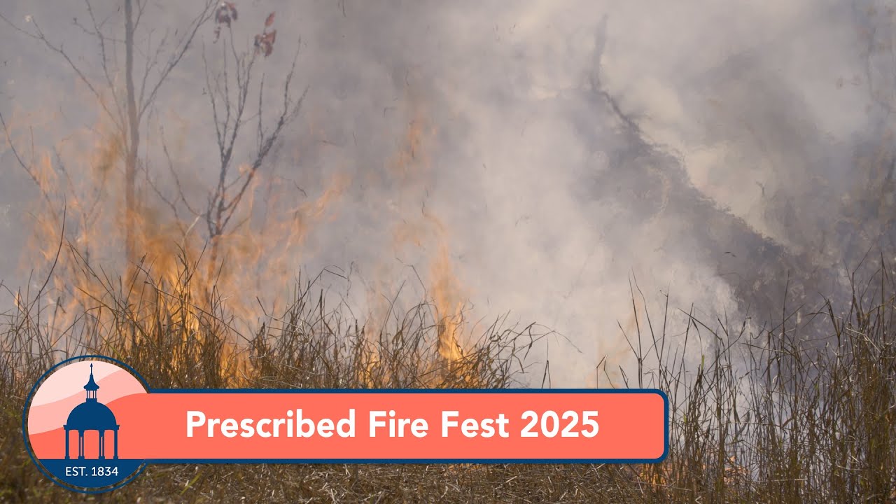 Prescribed Fire Fest 2025 - Edward Medard Park - YouTube