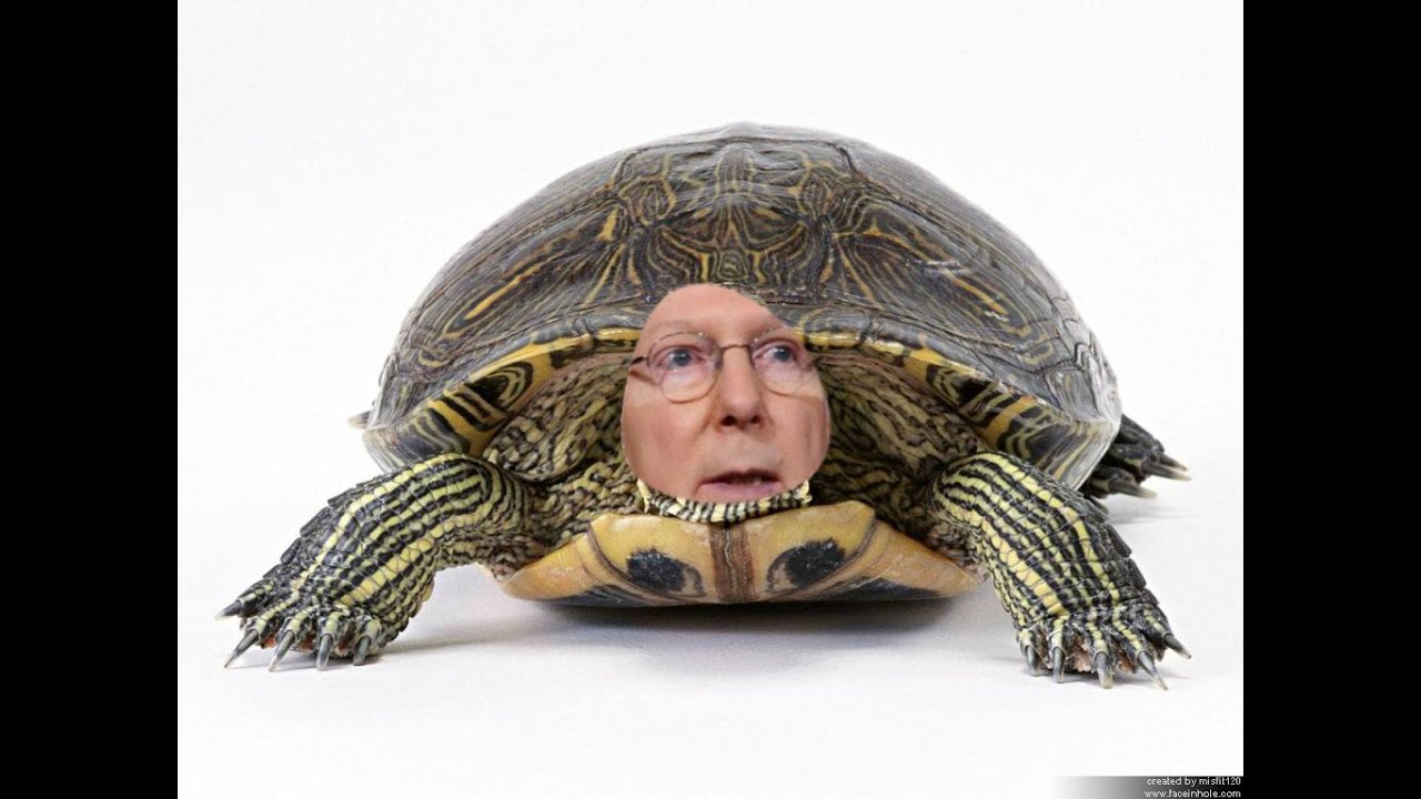 Weird 3v3 game - The death of turtle man - YouTube