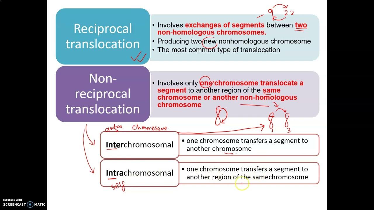 LECTURE CHAPTER 7 MUTATION PART 14 - YouTube