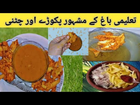 Talimi Bagh Ka Mashoor Pakoda With Chutney Recipe|Famous Pakora|Crispy ...