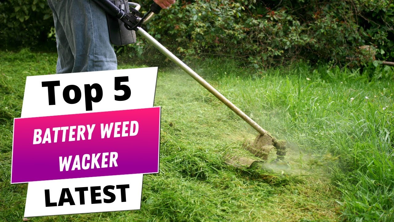 Best battery weed wacker: Battery weed wacker (Buying Guide) - YouTube