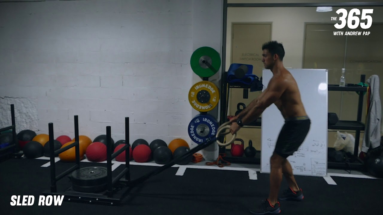 Andrew Pap's 365 Exercise Library - Sled Row - YouTube