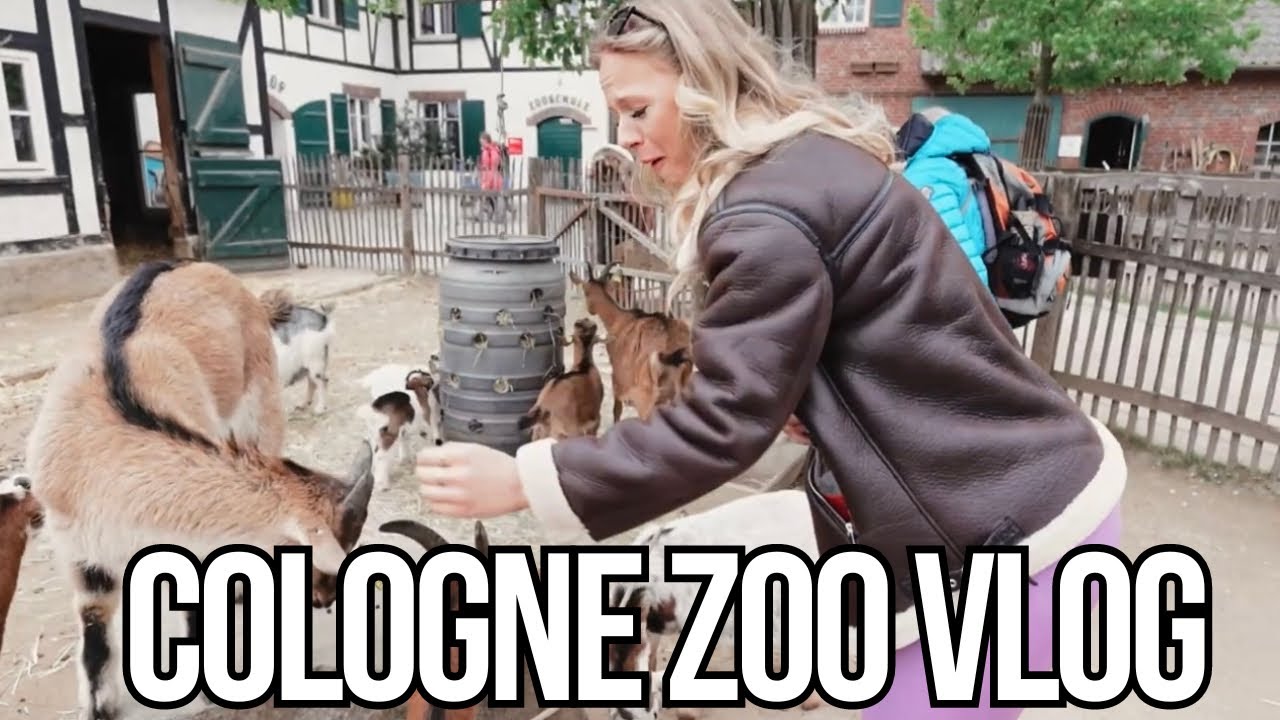 Cologne Vlog Part 2 - YouTube