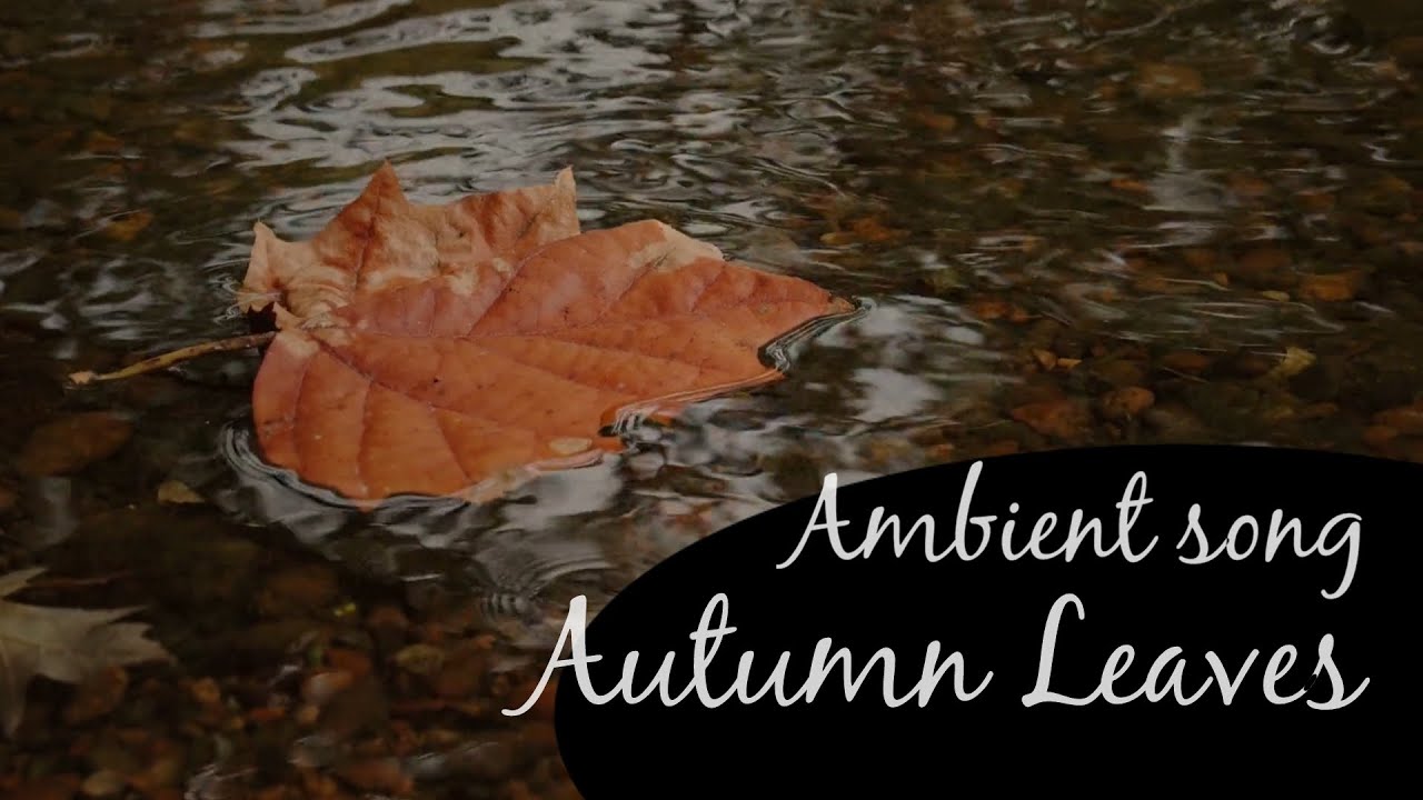 Ambient Song - Autumn Leaves | relaxing ambient guitar and piano ...