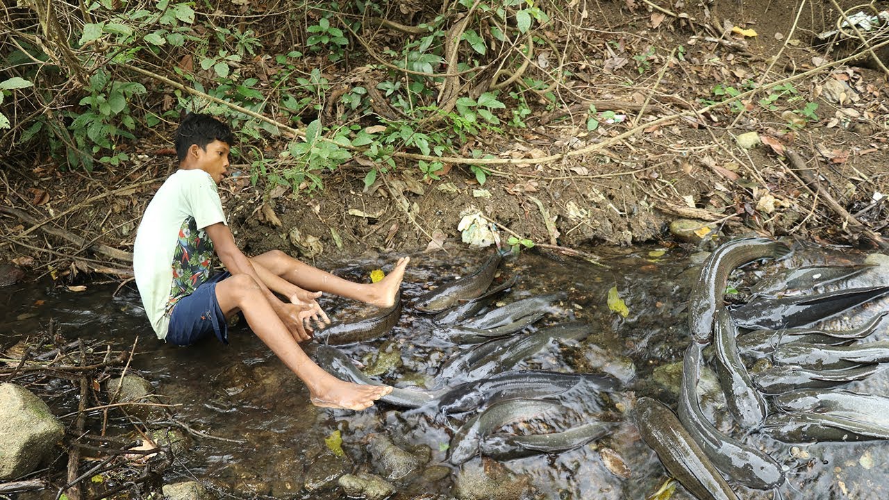 Fresh Water Fishing | Hand Fishing Shadow Fresh Water for Catfish - YouTube