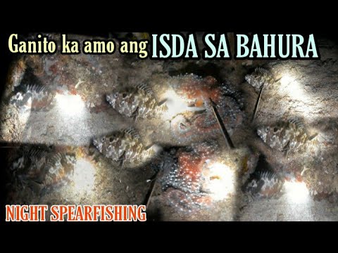 EP 171: NIGHT SPEARFISHING PHILIPPINES | GANITO KA AMO ANG ISDA SA ...