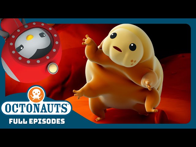@Octonauts - 🐻 The Teeny Water Bears ⛑️ | Full Episode | Cartoons for ...