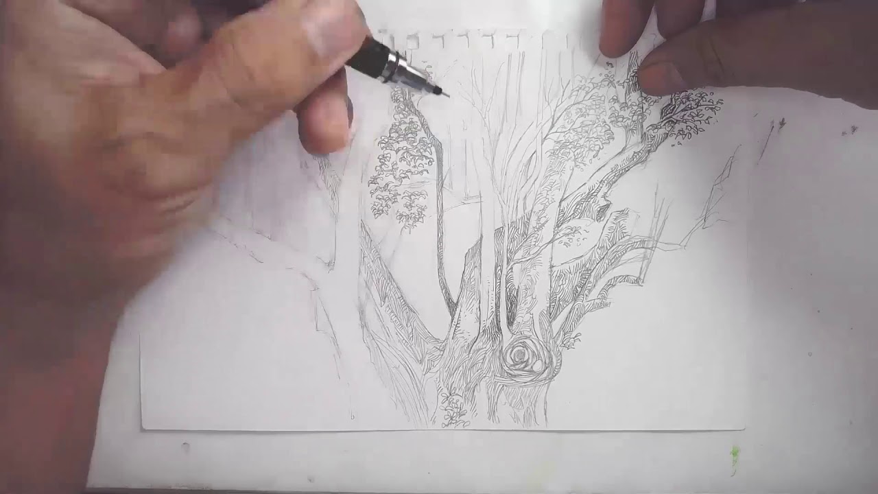 1st Drawing Demo. - YouTube