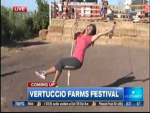 tess zip (mini zipline) - YouTube