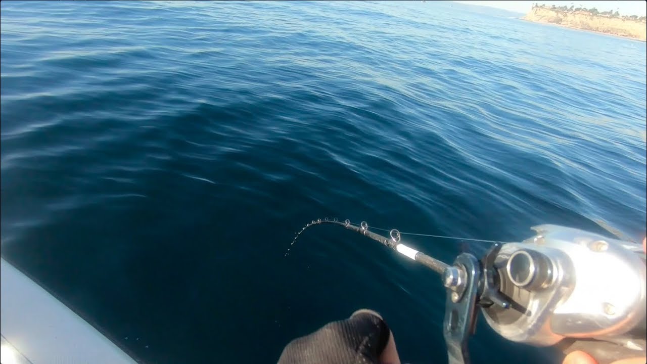Bottom Fishing on a Boat! - YouTube