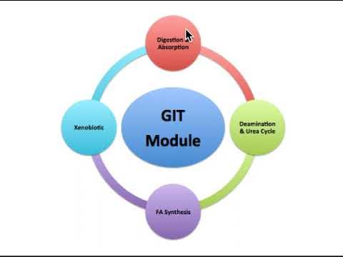 GIT Module Biochemistry Lectures - YouTube