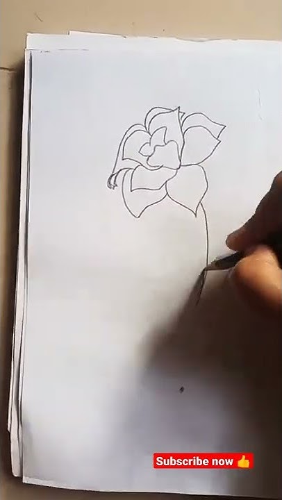how to draw a flower🌹|pensketch|sketchoftheday|easy& quick drawing ...