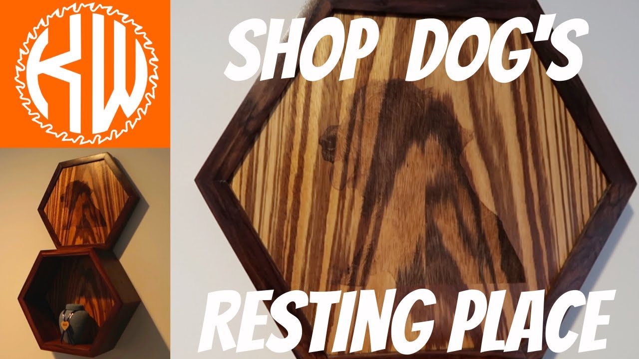Shop Dog Memorial Showbox Build (Tutorial) - YouTube