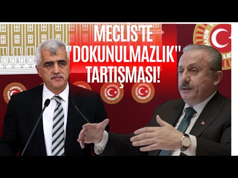 TBMM Başkanı Şentop ile HDP'li Gergerlioğlu komisyonda tartıştı