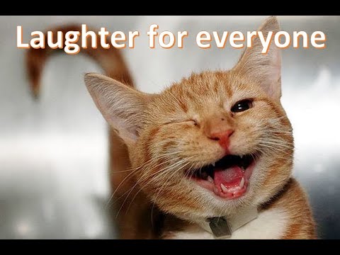 Super mega funny videos best jokes - YouTube