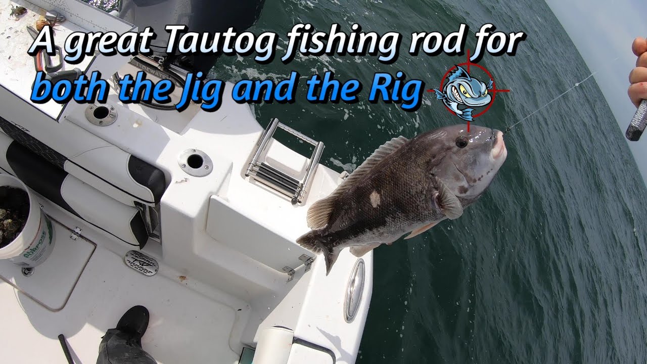 A great Tautog fishing rod for both the Jig and the Rig - YouTube