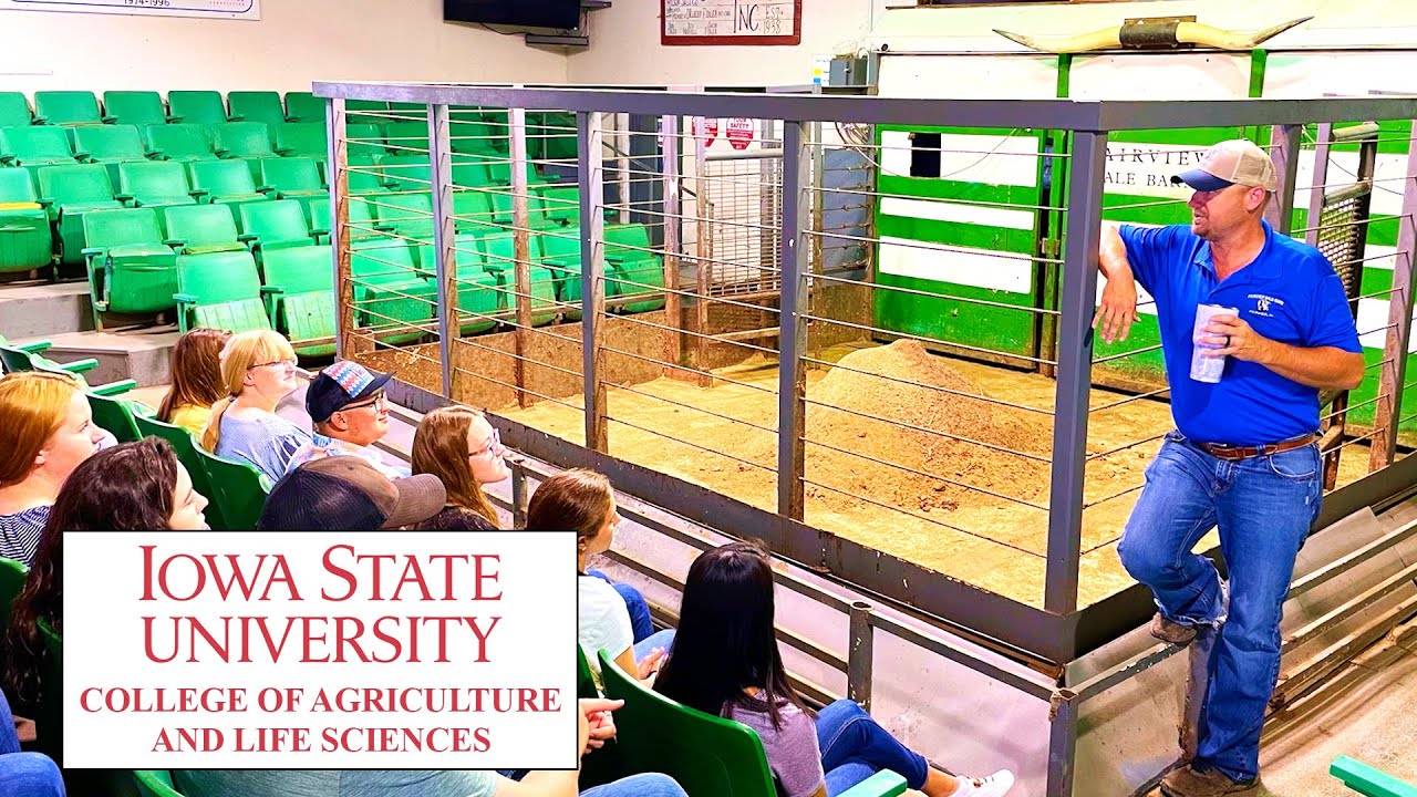 College of Agriculture and Life Sciences at ISU | The College Tour ...